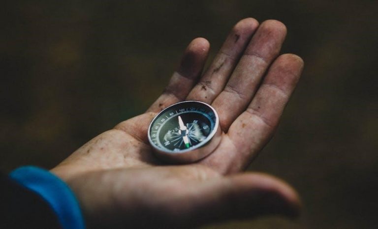 Alcon Multifocal Fitting Guide: Expert Tips for a Perfect Fit