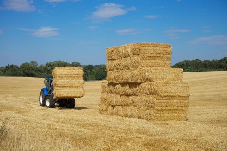 Soil Stack Regulations UK: Your Ultimate Guide